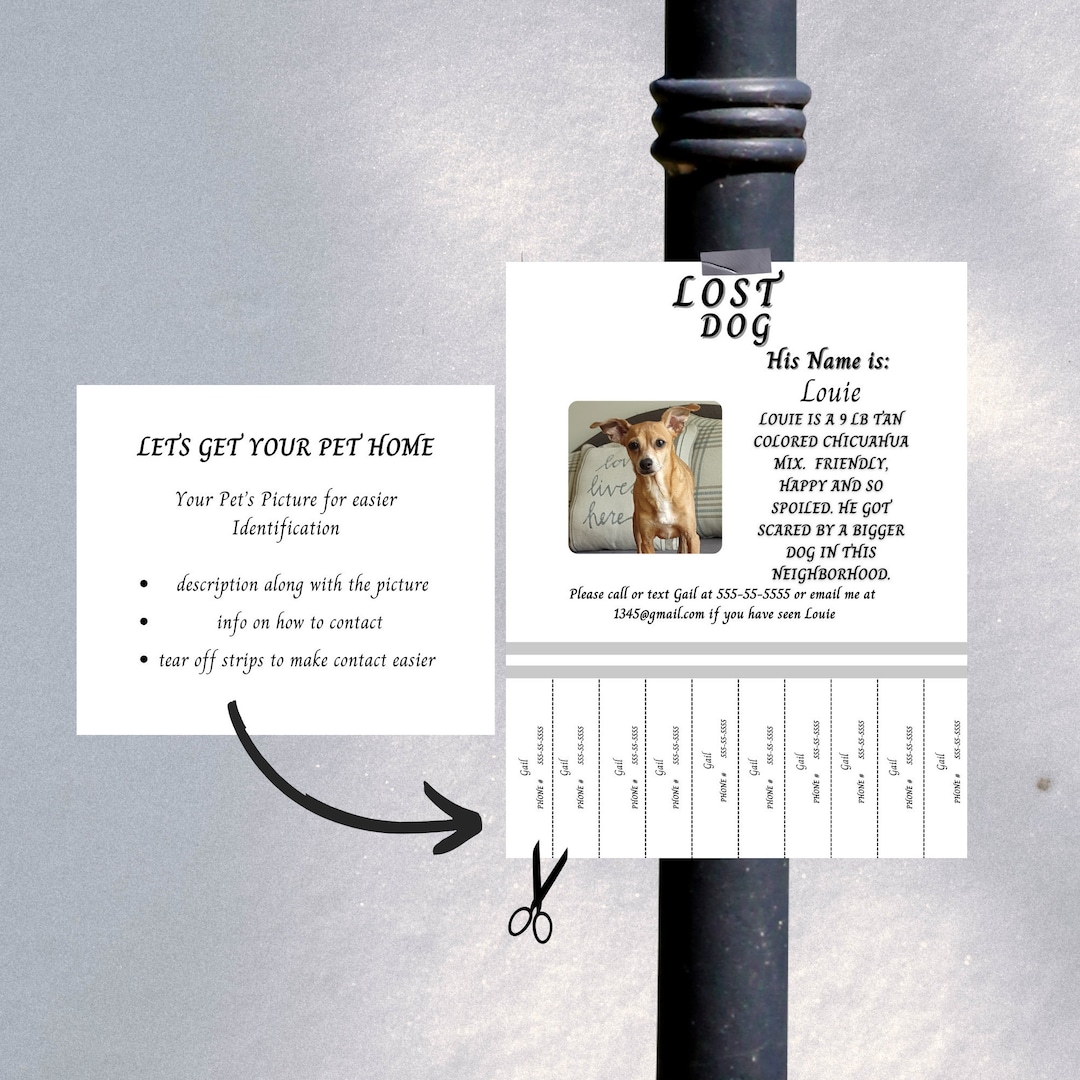 Lost Pet Tear off Poster, Editable Missing Pet Hanging Flyer, Pole Tear ...
