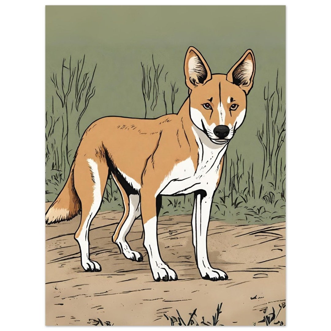 Australian Animals Dingo Poster - Etsy