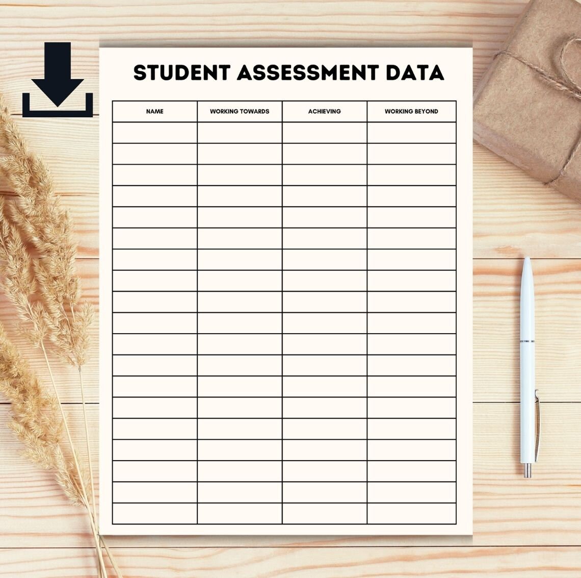 Student Assessment Data Tracker PDF, Printable Planner (digital ...