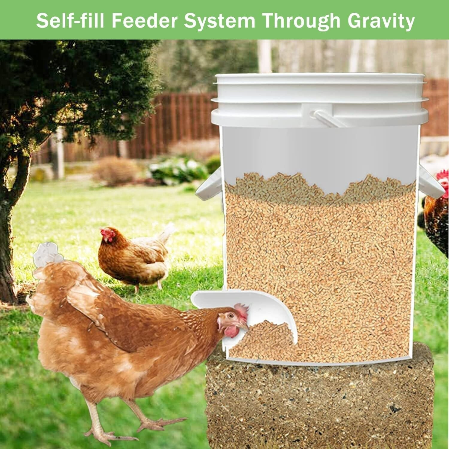 4 Pack of Chicken Feeders With Tool - Etsy
