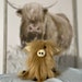 NO SEW Highland Cow Gnome Pattern - Etsy
