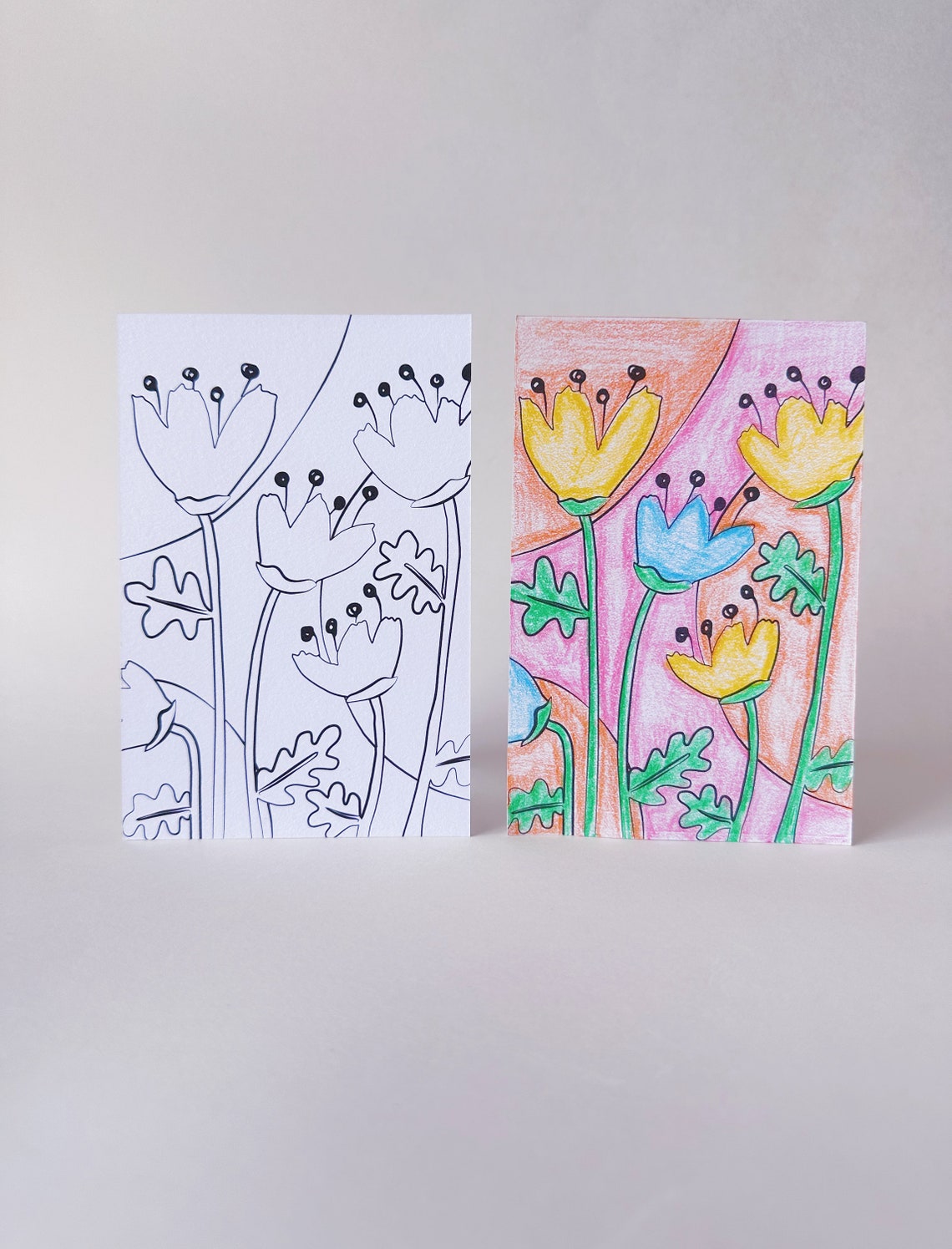 Flowers & Plants Color in Postcards | Set of 9 Postcards | 6 Mini ...