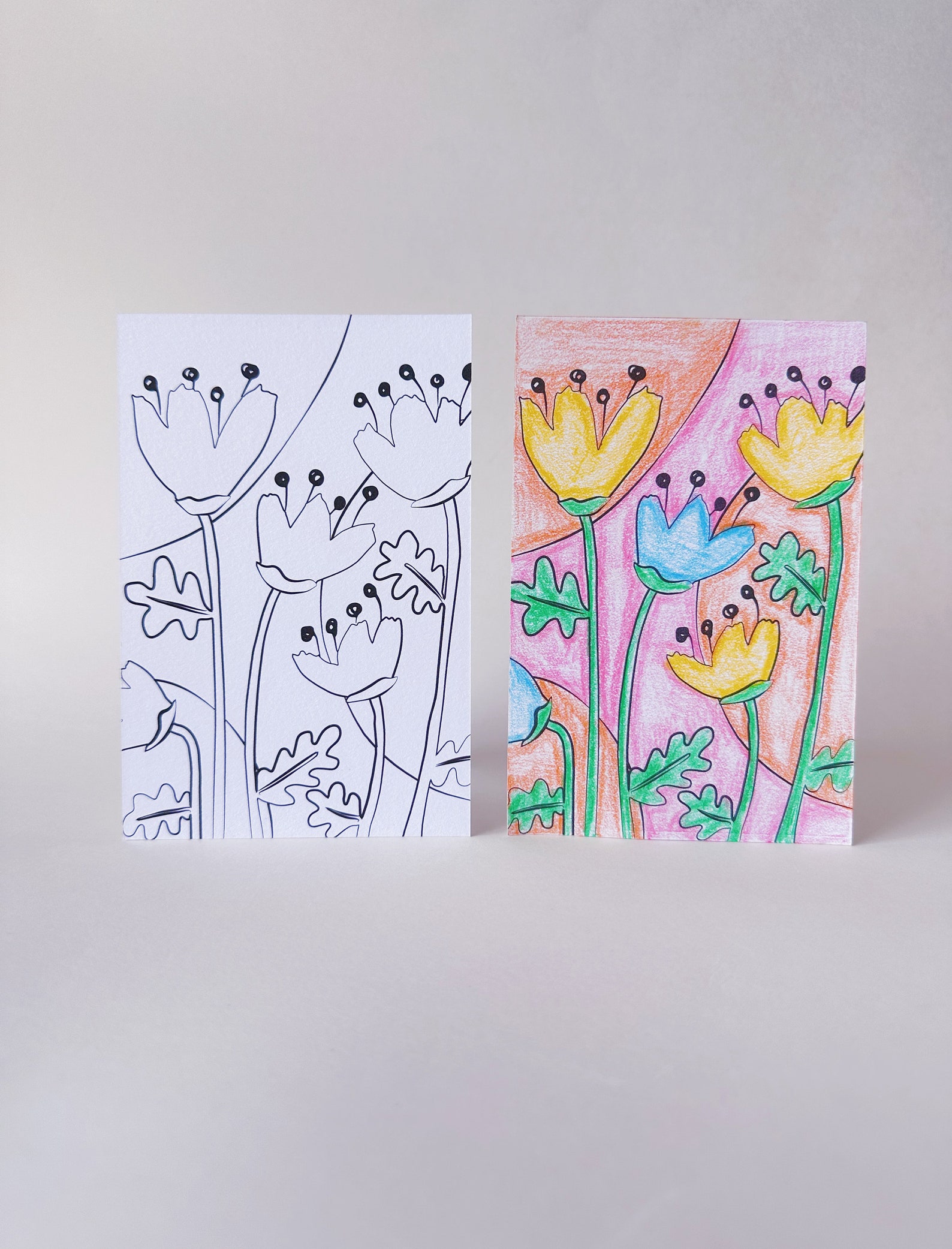 Flowers & Plants Color in Postcards | Set of 9 Postcards | 6 Mini ...
