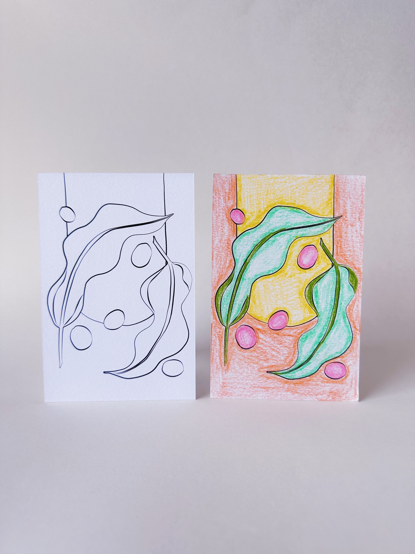 Flowers & Plants Color in Postcards | Set of 9 Postcards | 6 Mini ...
