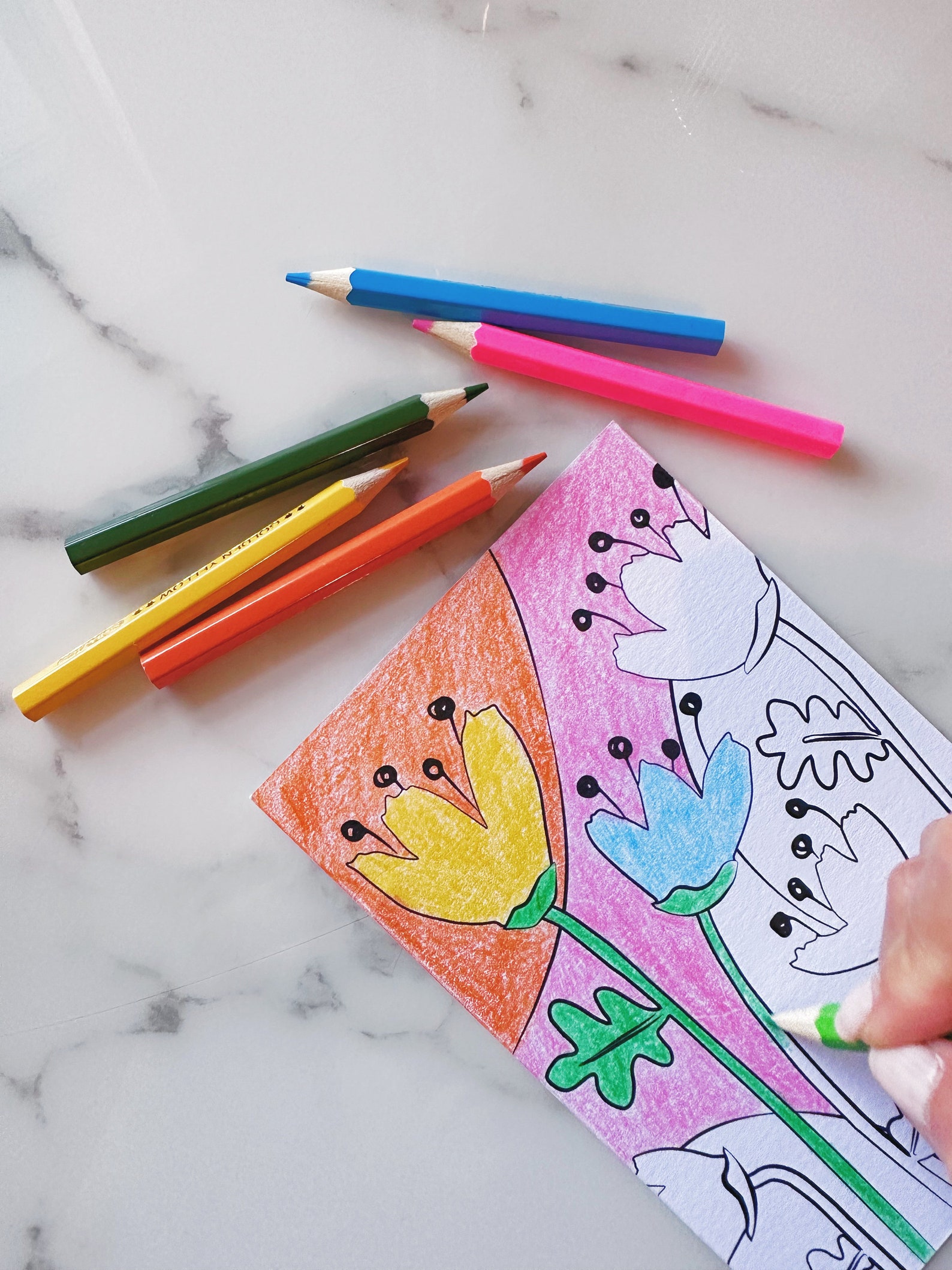 Flowers & Plants Color in Postcards | Set of 9 Postcards | 6 Mini ...