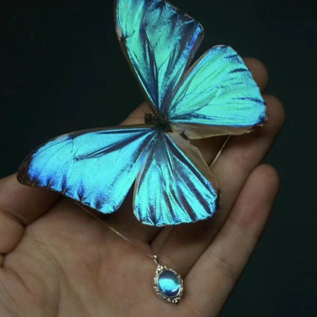 Mint Green Morpho Aurora Butterfly Pendant, Vintage Silver Lace-edged ...