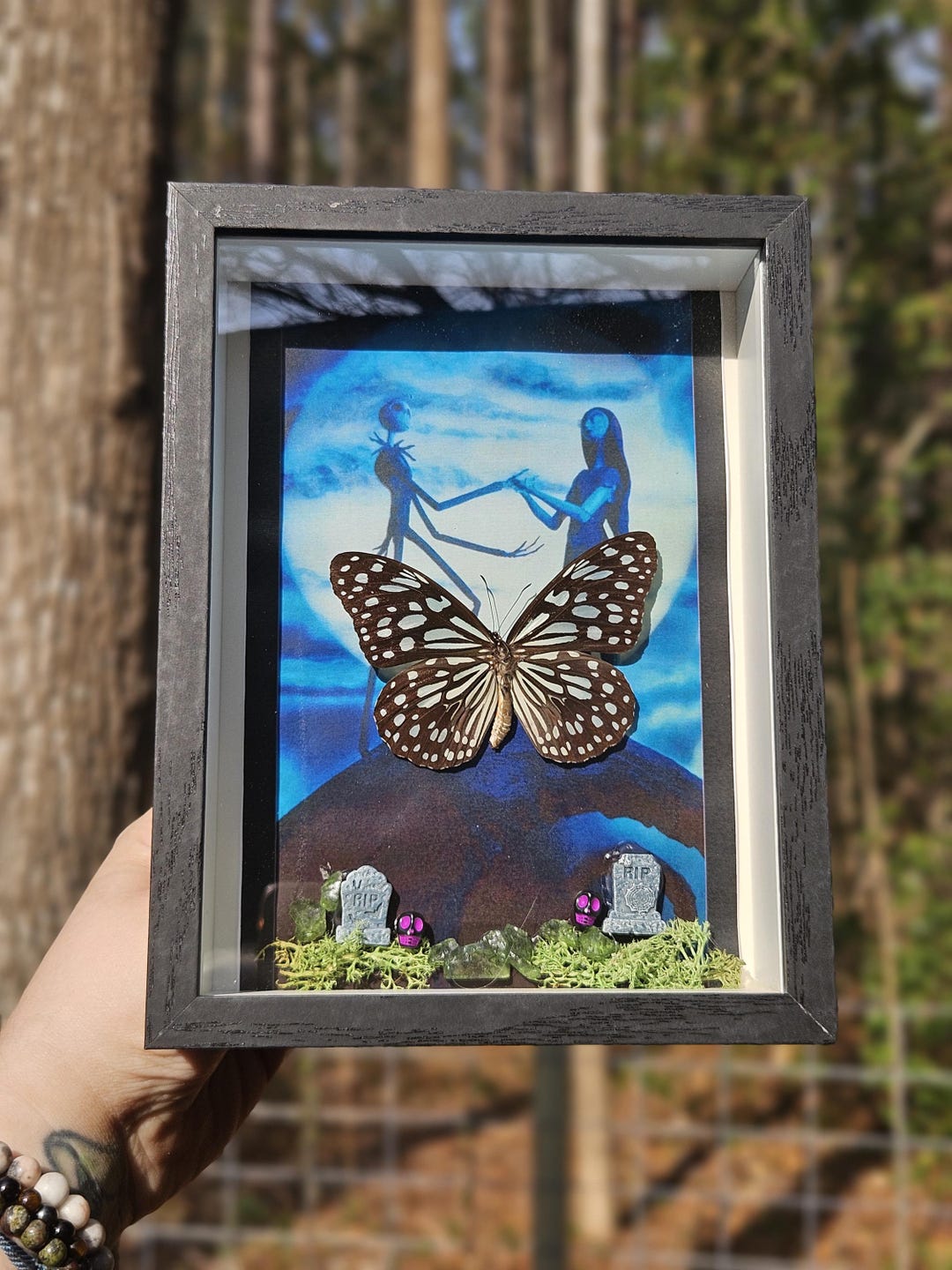 Jack and Sally With a Blue Tiger Butterfly in a Shadow Box. - Etsy