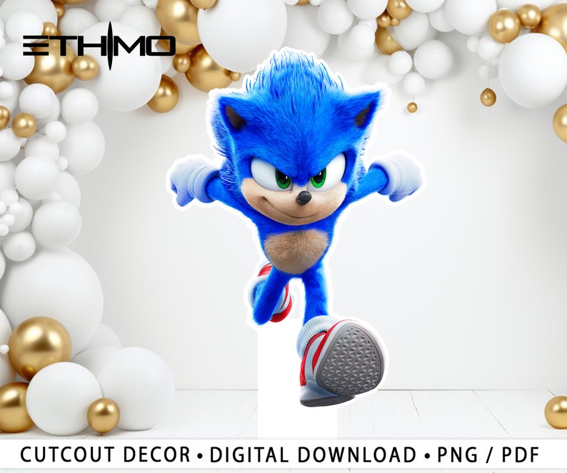 Sonic Character Cardboard Cutouts Sonic Party Decorations Take Your ...
