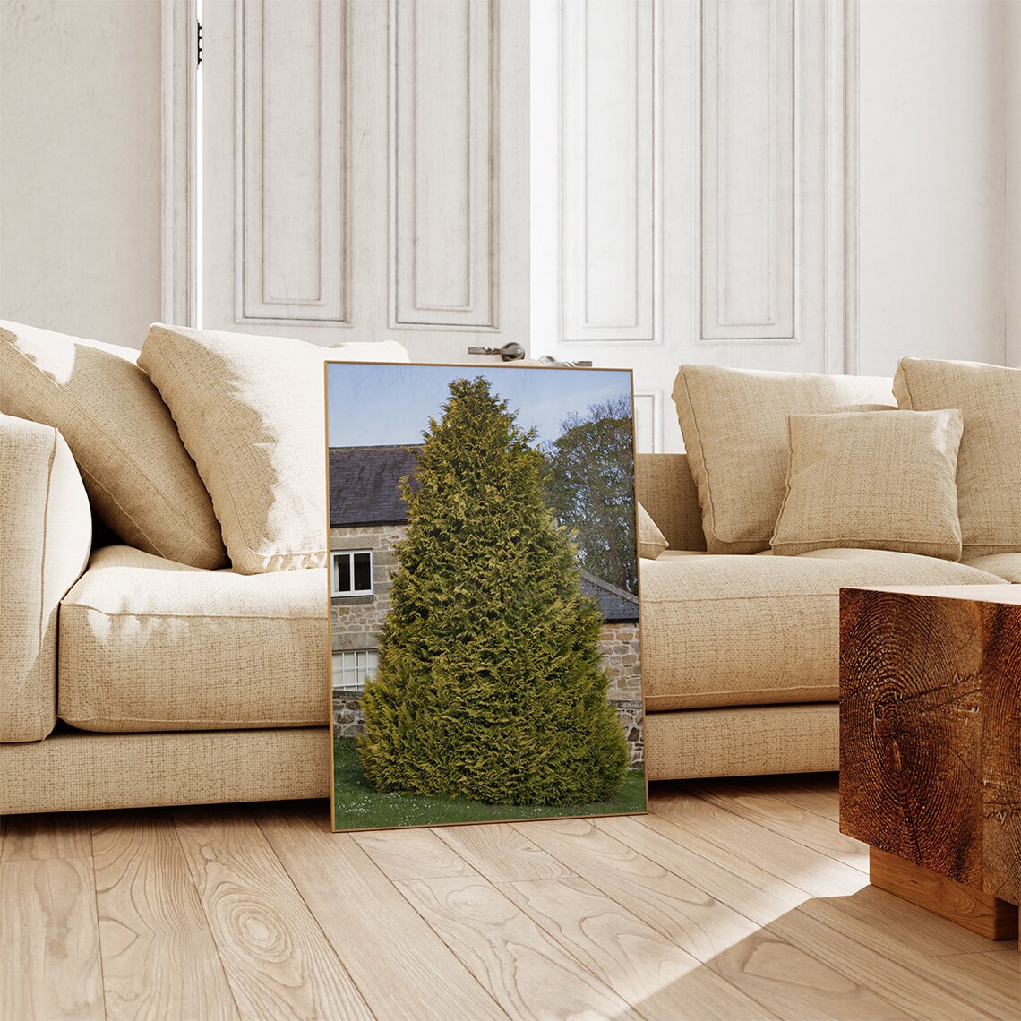 Evergreen, Tree, Digital Download, Photograph, Color, Wall Decor ...