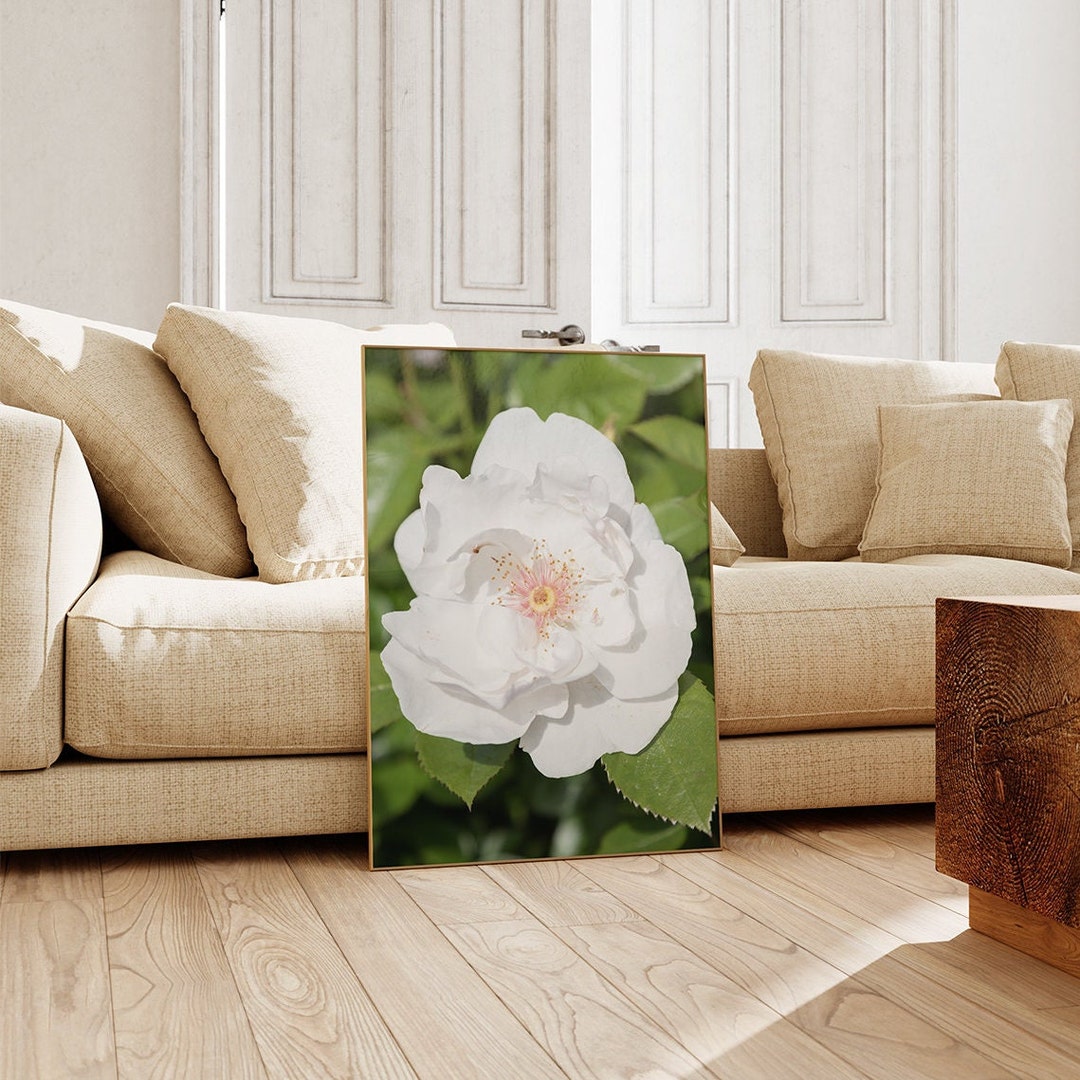Flower, White Rose, Digital Download, Photograph, Color, Wall Decor ...