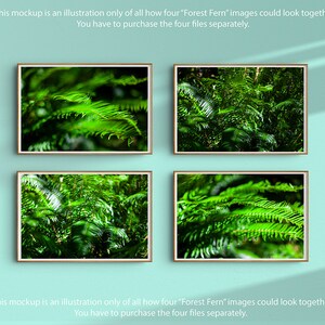 Fern 3, Forest, Digital Download, Photograph, Color, Wall Decor, Poster ...
