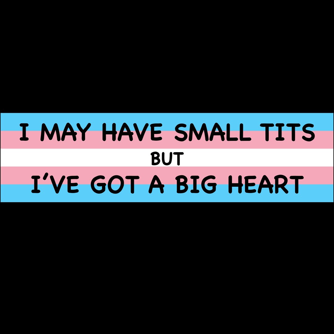 Trans Fem Bumper Sticker LGBT Car Decal Pre Order - Etsy