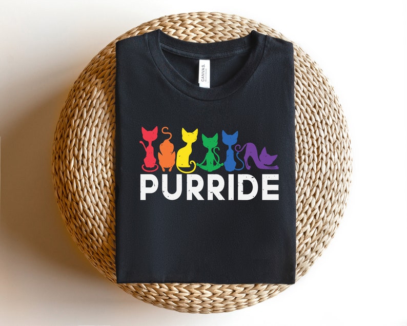 Purride Cat Shirt, LGBT Flag Shirt, Gay Pride Shirt, LGBTQ Shirt, Rainbow Pride Shirt, Cat Lover ...