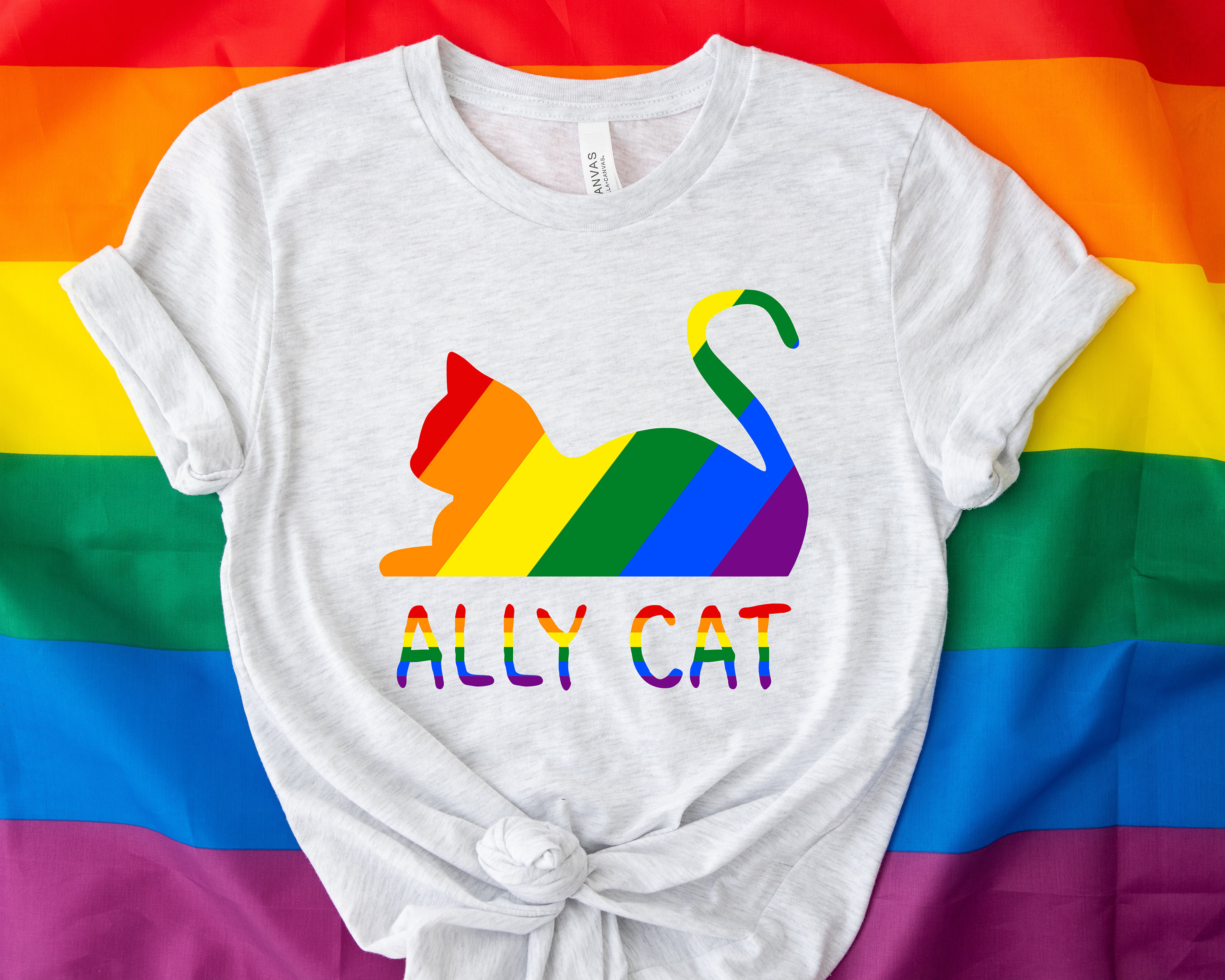 Pride Ally Cat Shirt,lgbt Ally Cat Shirt, LGBTQ Cat Shirt,ally Cat ...