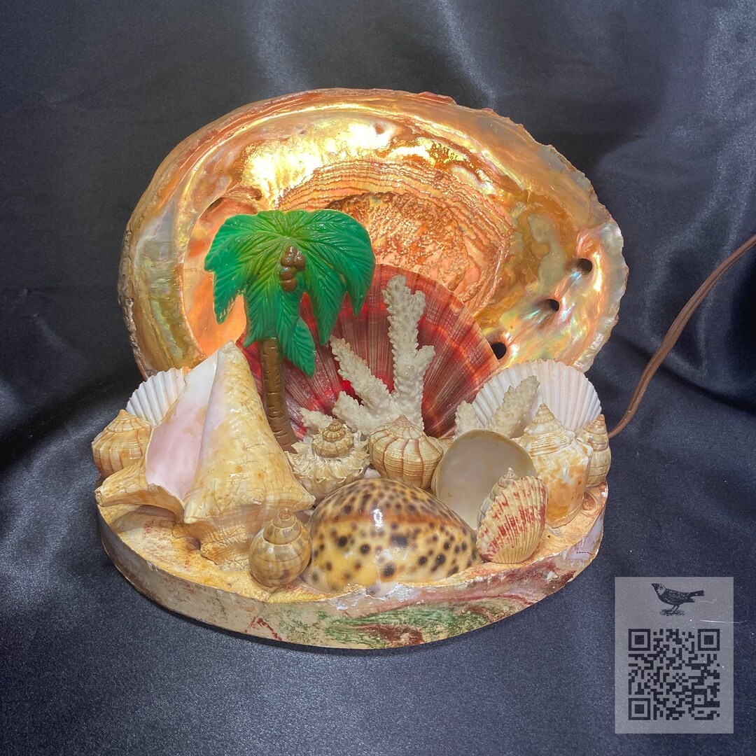 Vintage MCM Kitsch Sea Shell Abalone Lamp, With Coral Shells Plastic ...