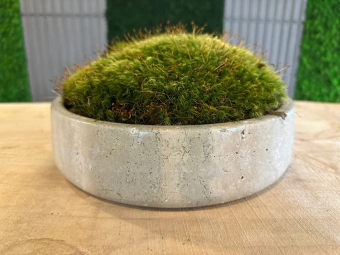 Decorative Moss Filled Stone Bowl Centerpiece - Etsy