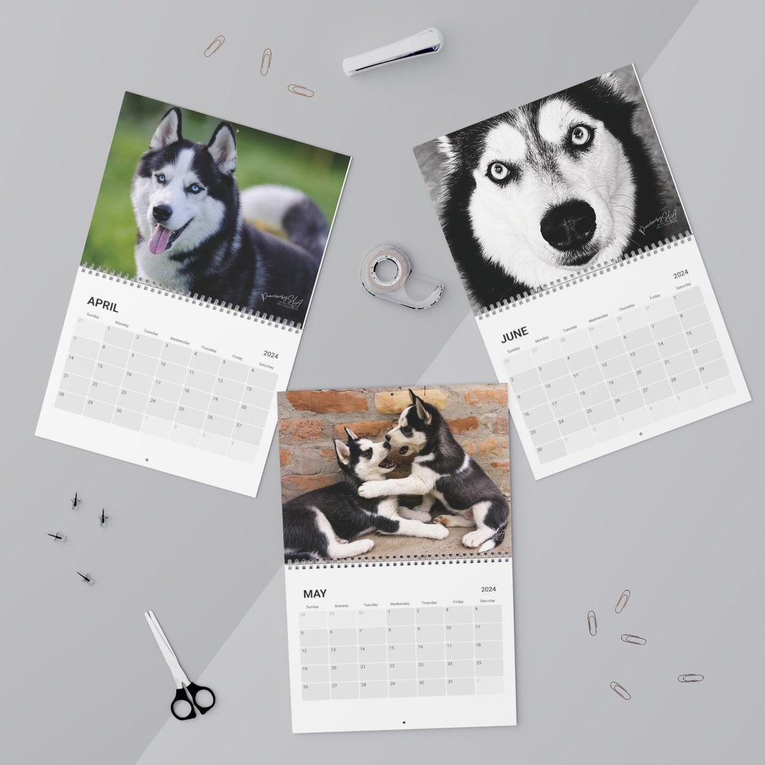 Siberian Husky Calendar 2024 Wall Calendar I Love My Sibe Just Huskies ...
