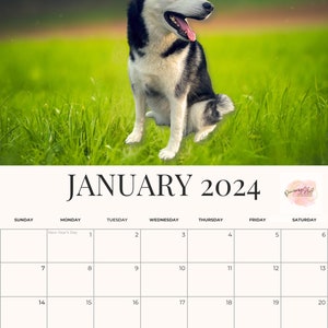 Siberian Husky Calendar 2024 Wall Calendar I Love My Sibe Just Huskies ...