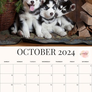 Siberian Husky Calendar 2024 Wall Calendar I Love My Sibe Just Huskies ...