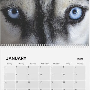 Siberian Husky Calendar 2024 Wall Calendar I Love My Sibe Just Huskies ...