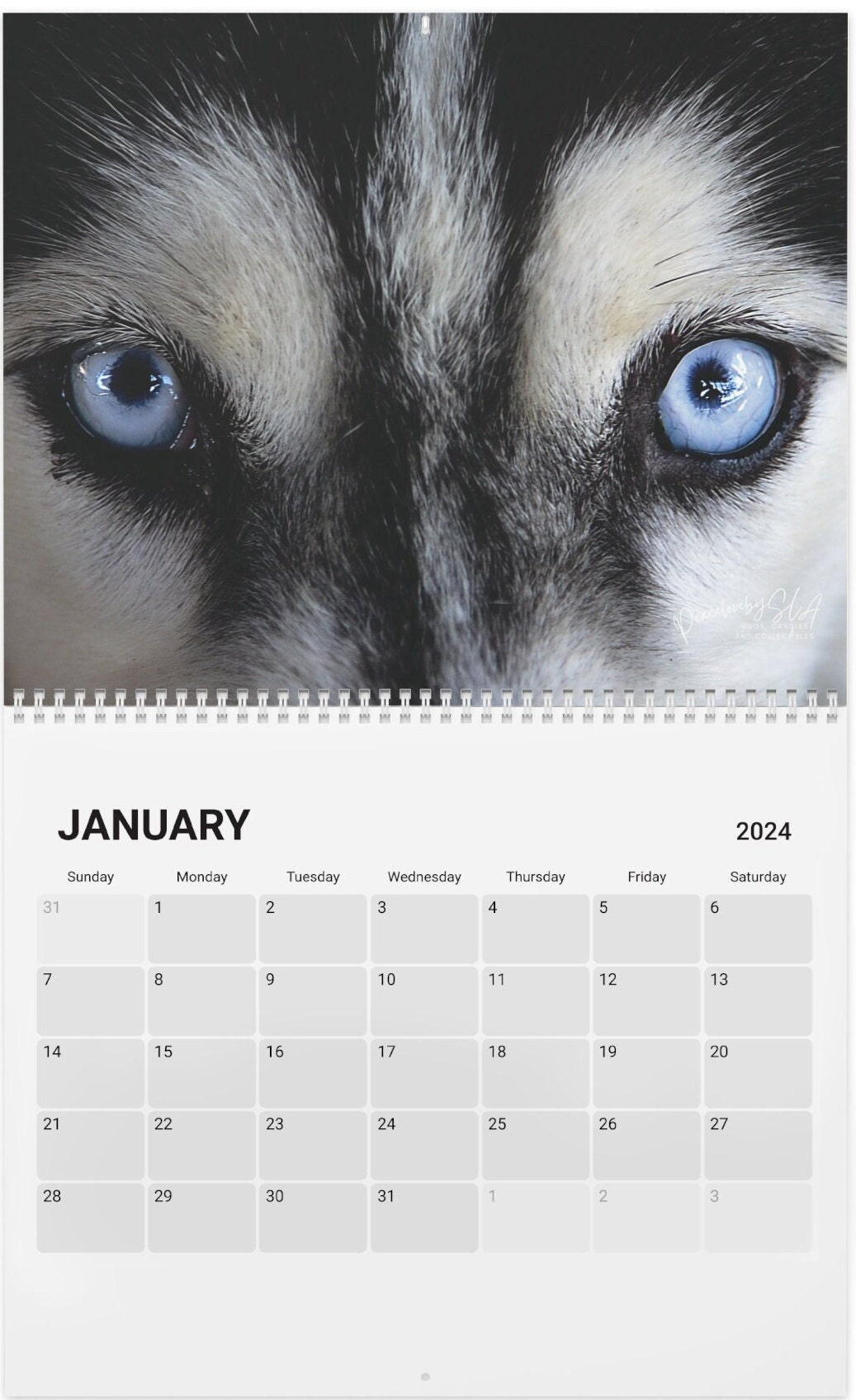 Siberian Husky Calendar 2024 Wall Calendar I Love My Sibe Just Huskies ...