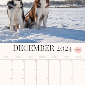 Siberian Husky Calendar 2024 Wall Calendar I Love My Sibe Just Huskies ...