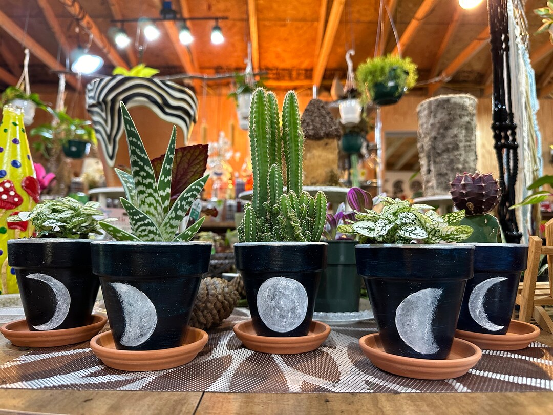 Moon Phase Set of Hand-painted Pots - Etsy