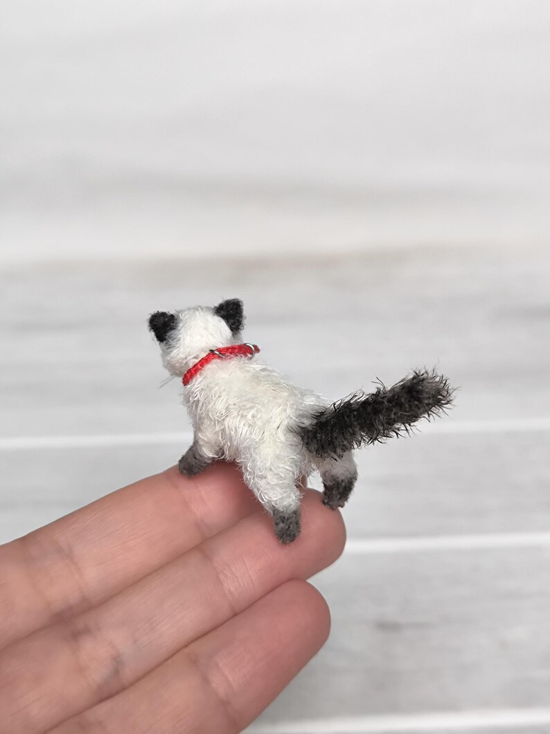 Tiny Siamese Kitten - Etsy