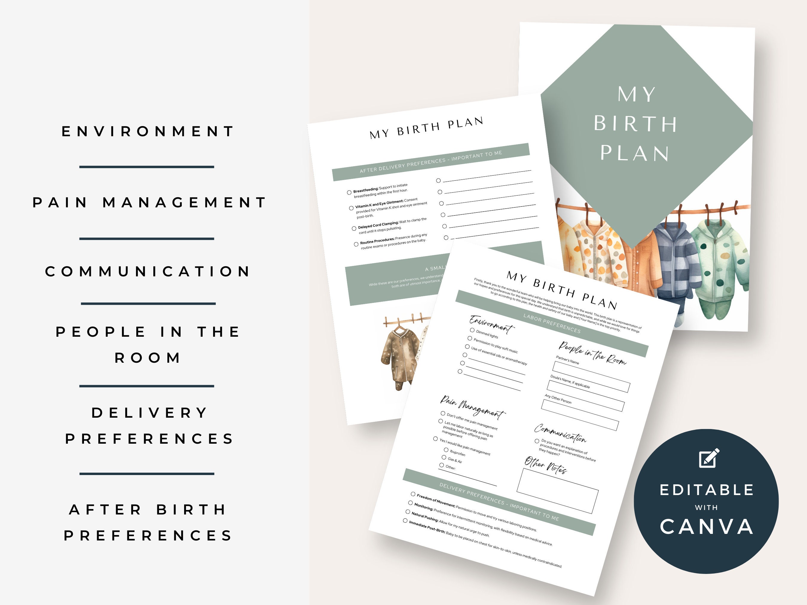 Editable Birth Plan Template, Printable Birthing Plan, Labour and ...