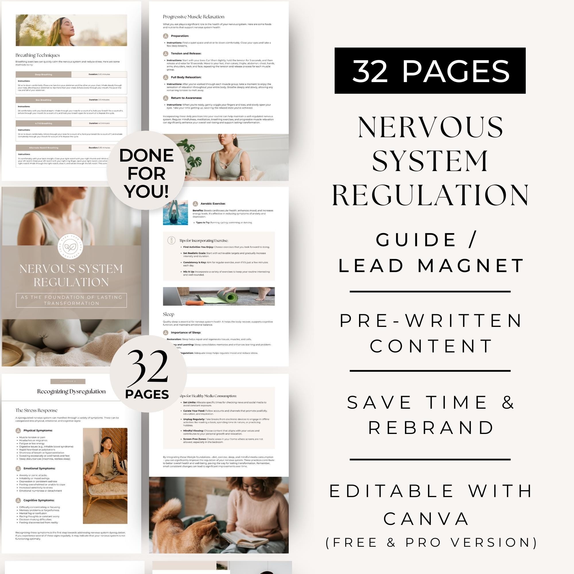 Nervous System Workbook Guide With Exercises & Self Assessment ...