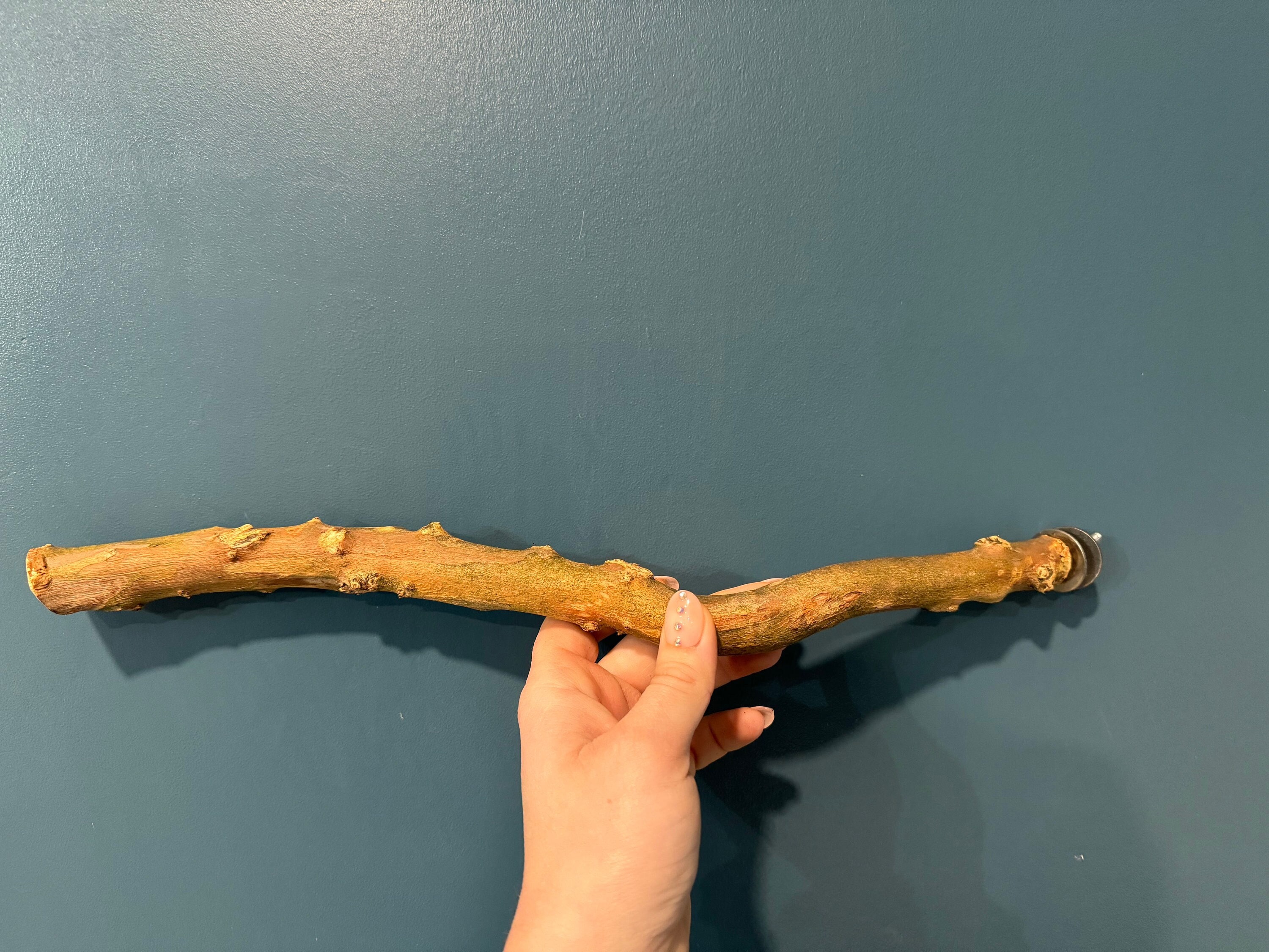 Natural Wood Bird Perch - Etsy