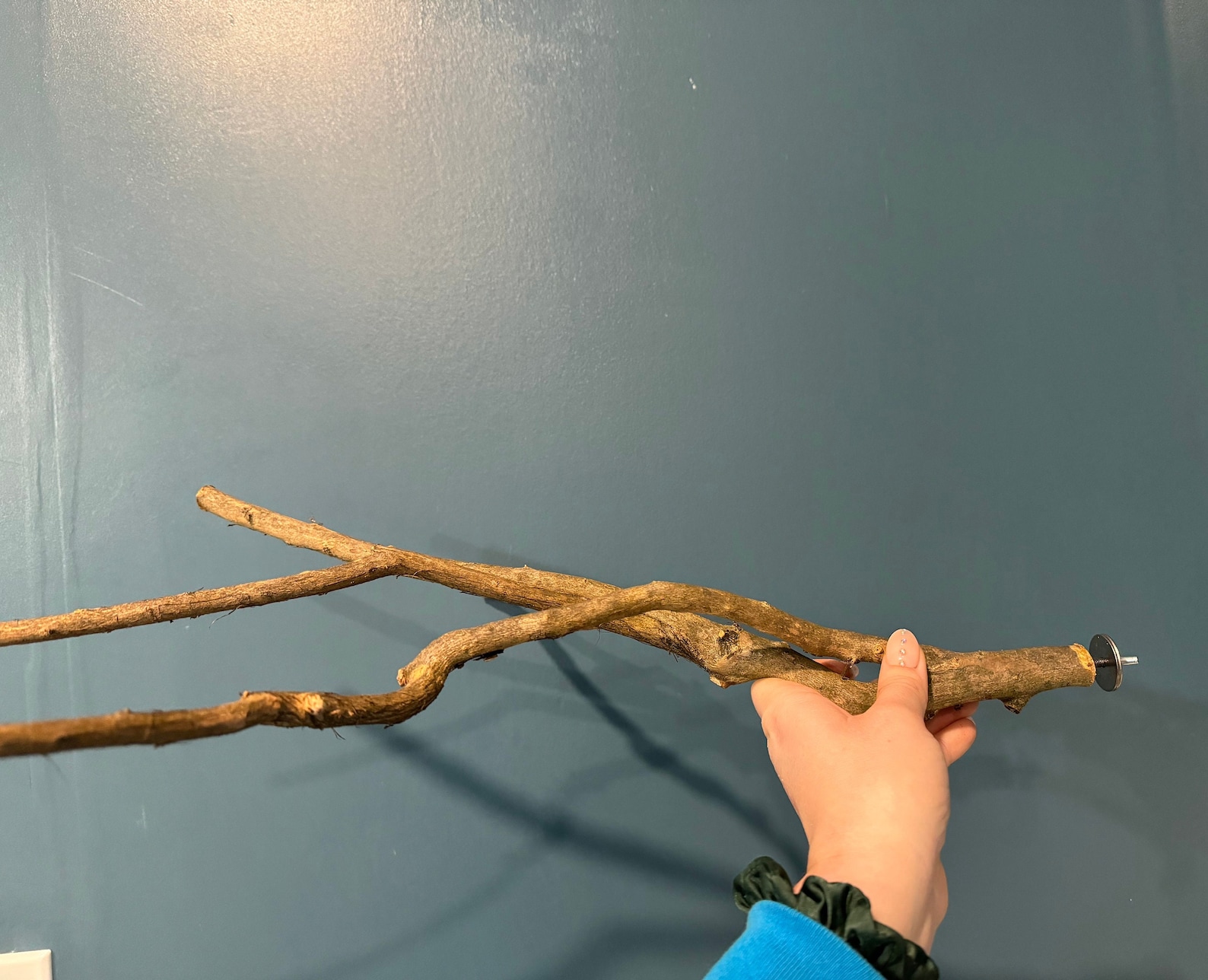 Natural Wood Bird Perch - Etsy