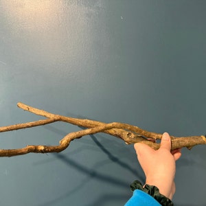 Natural Wood Bird Perch - Etsy