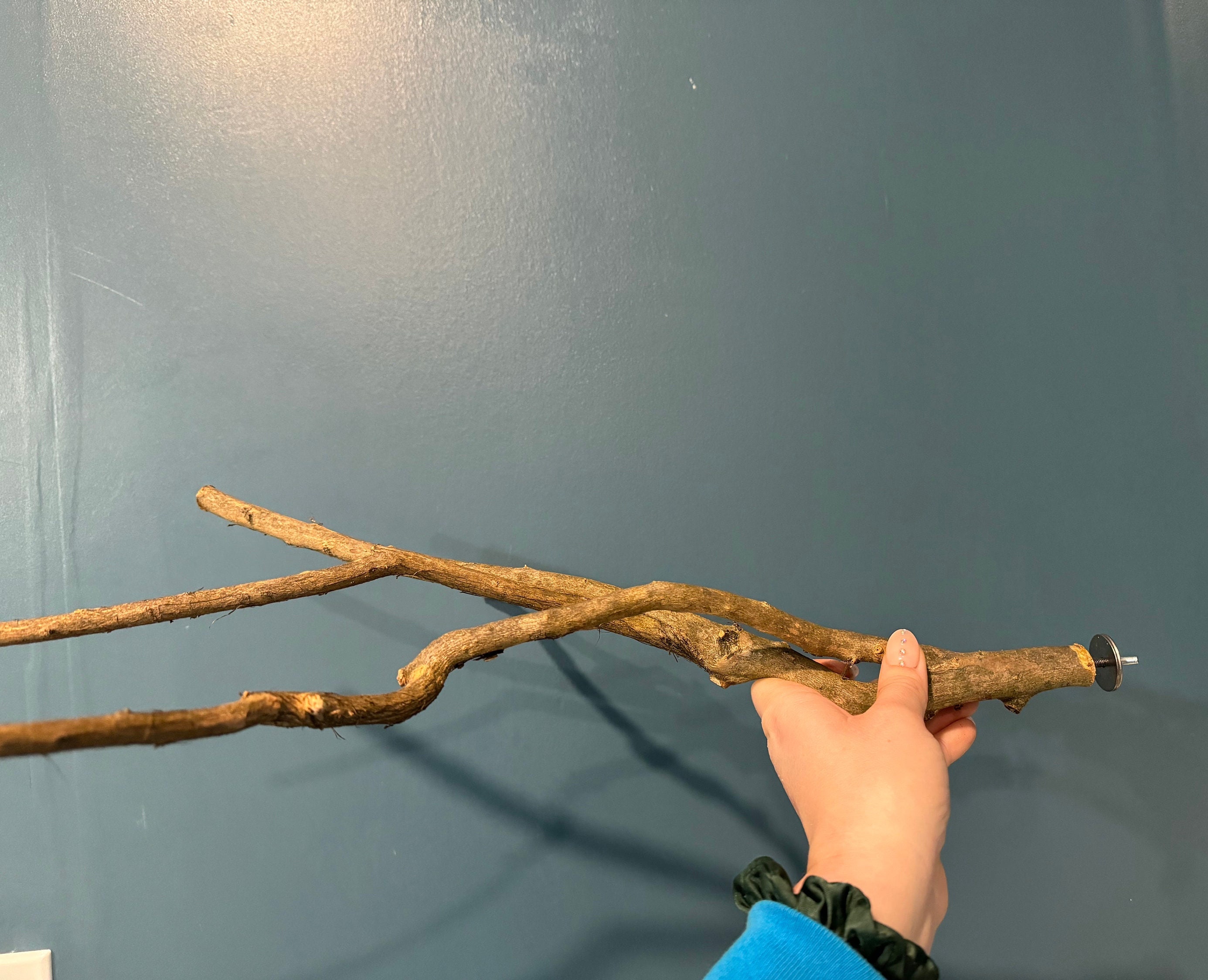 Natural Wood Bird Perch - Etsy