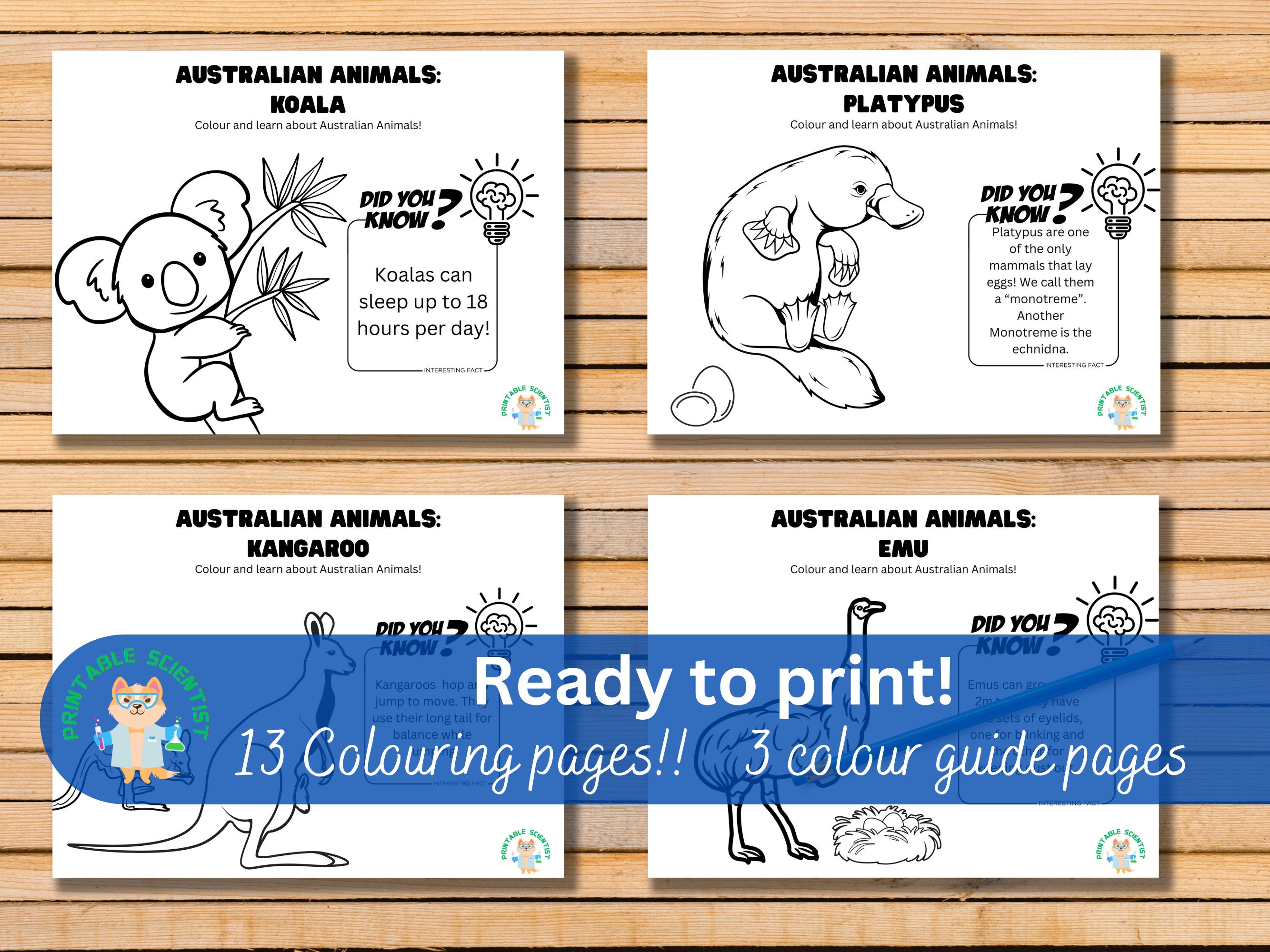 Printable Colouring, Printable Animal Colouring, Printable Colouring ...