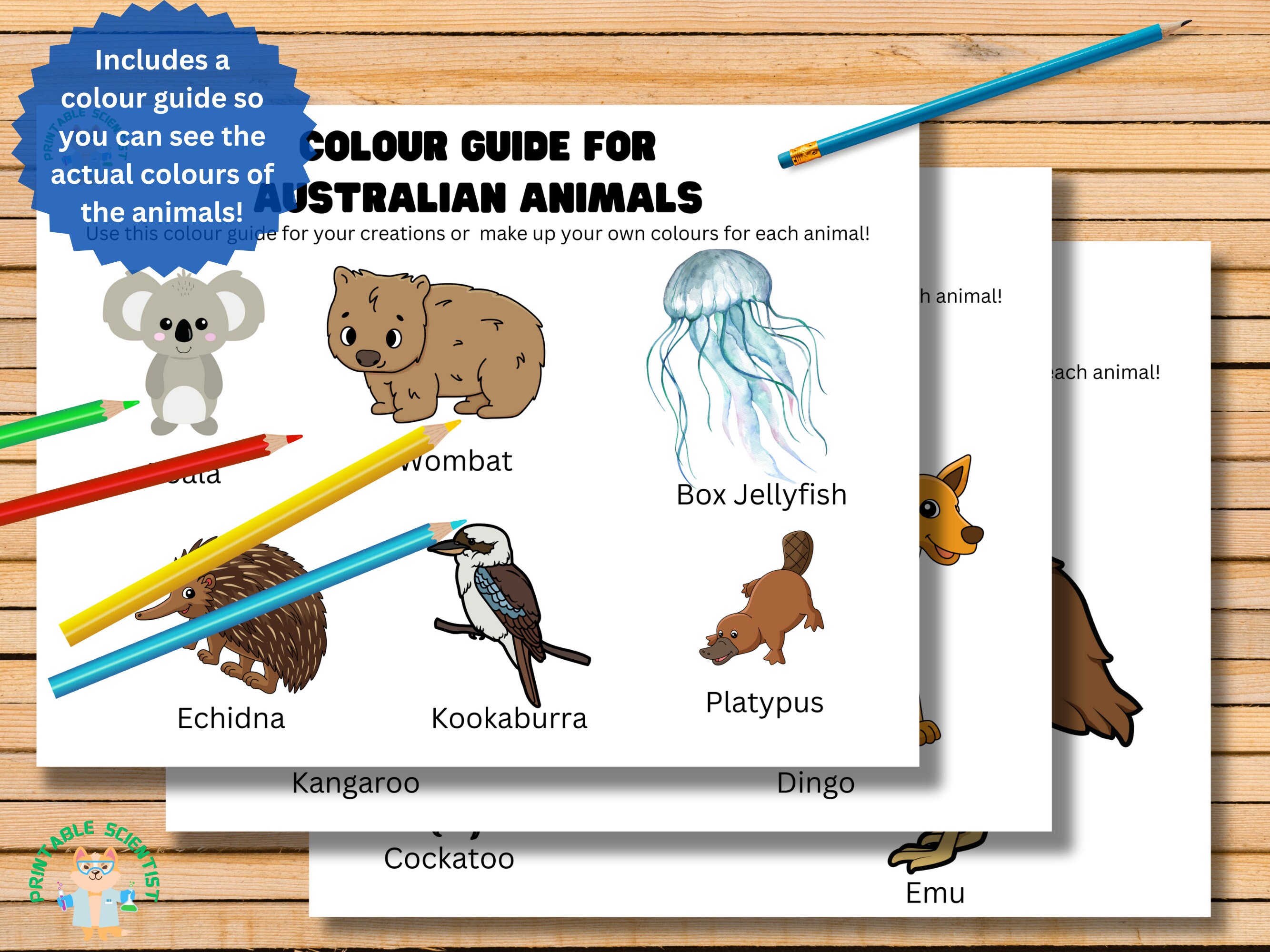 Printable Colouring, Printable Animal Colouring, Printable Colouring ...