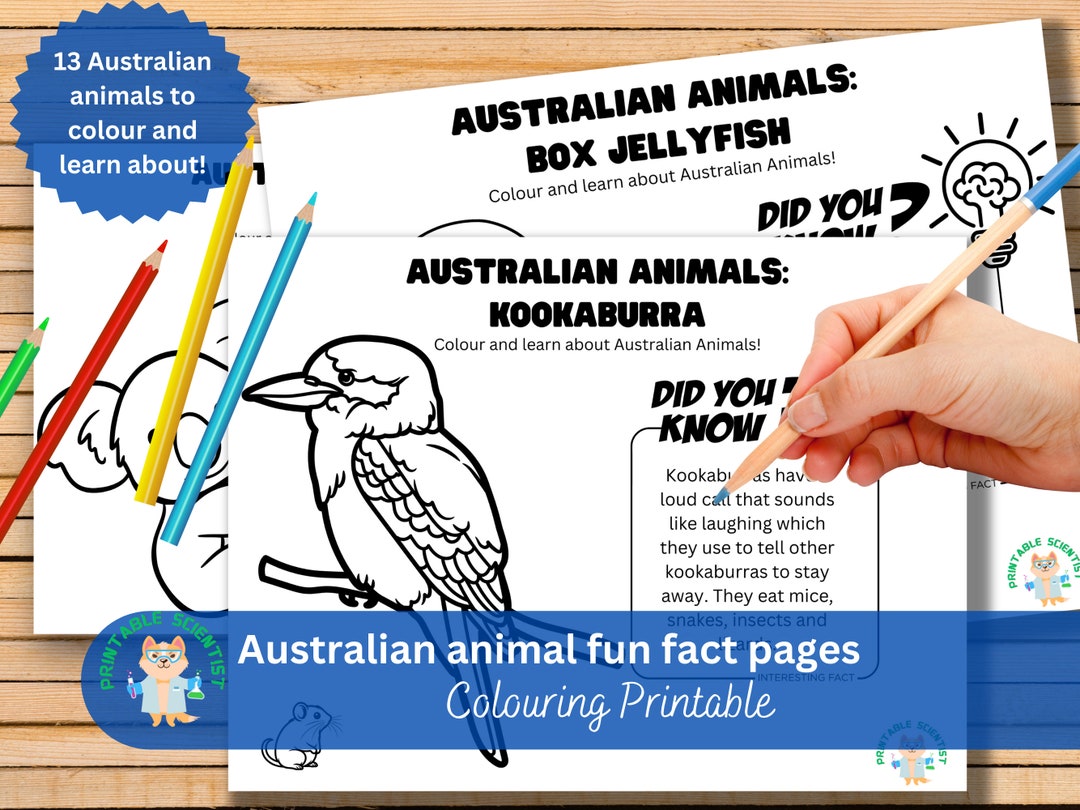 Printable Colouring, Printable Animal Colouring, Printable Colouring ...