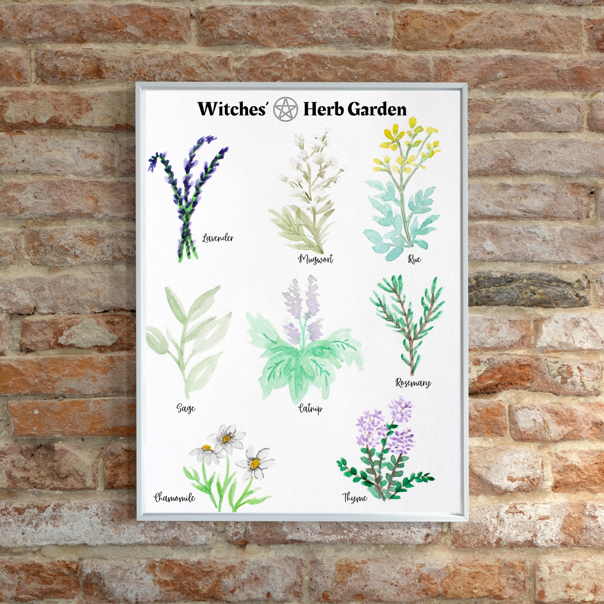 Witch Herb Garden Watercolor Chart: Cottage Kitchen Art (digital ...