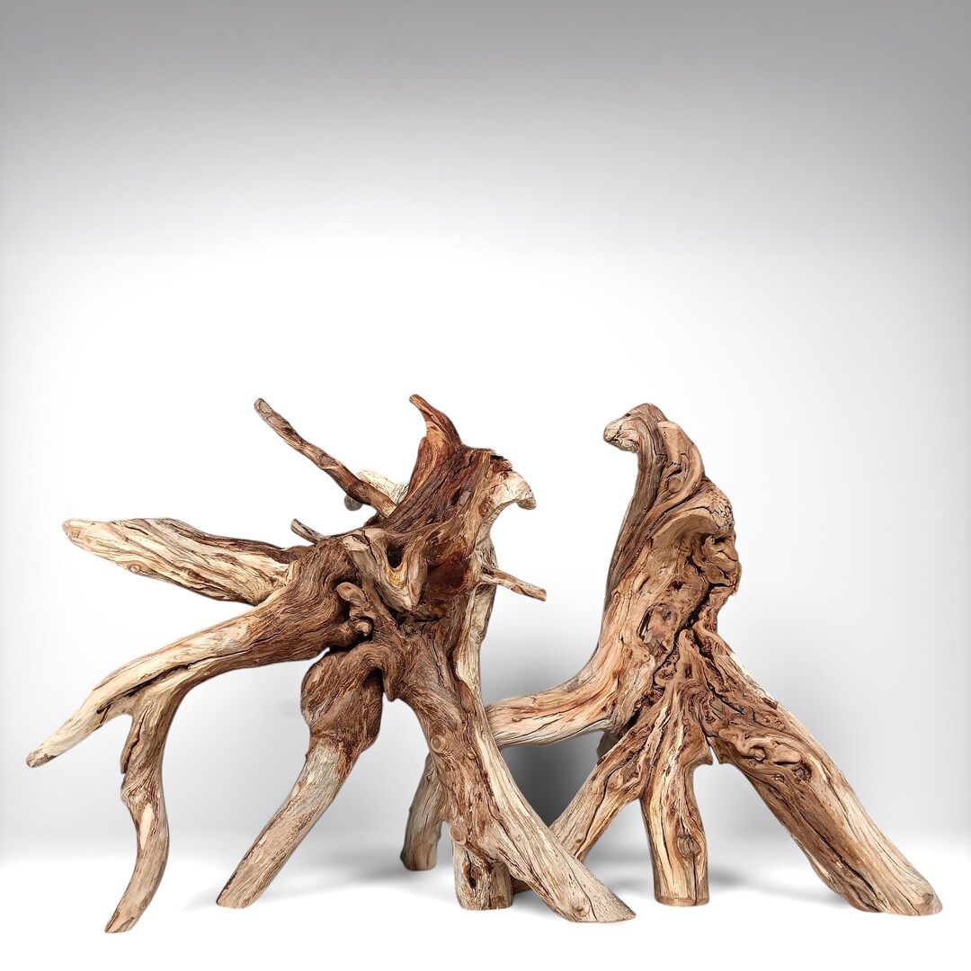 2 Piece Set of Manzanita Driftwood for Aquascaping, Aquarium Driftwood ...