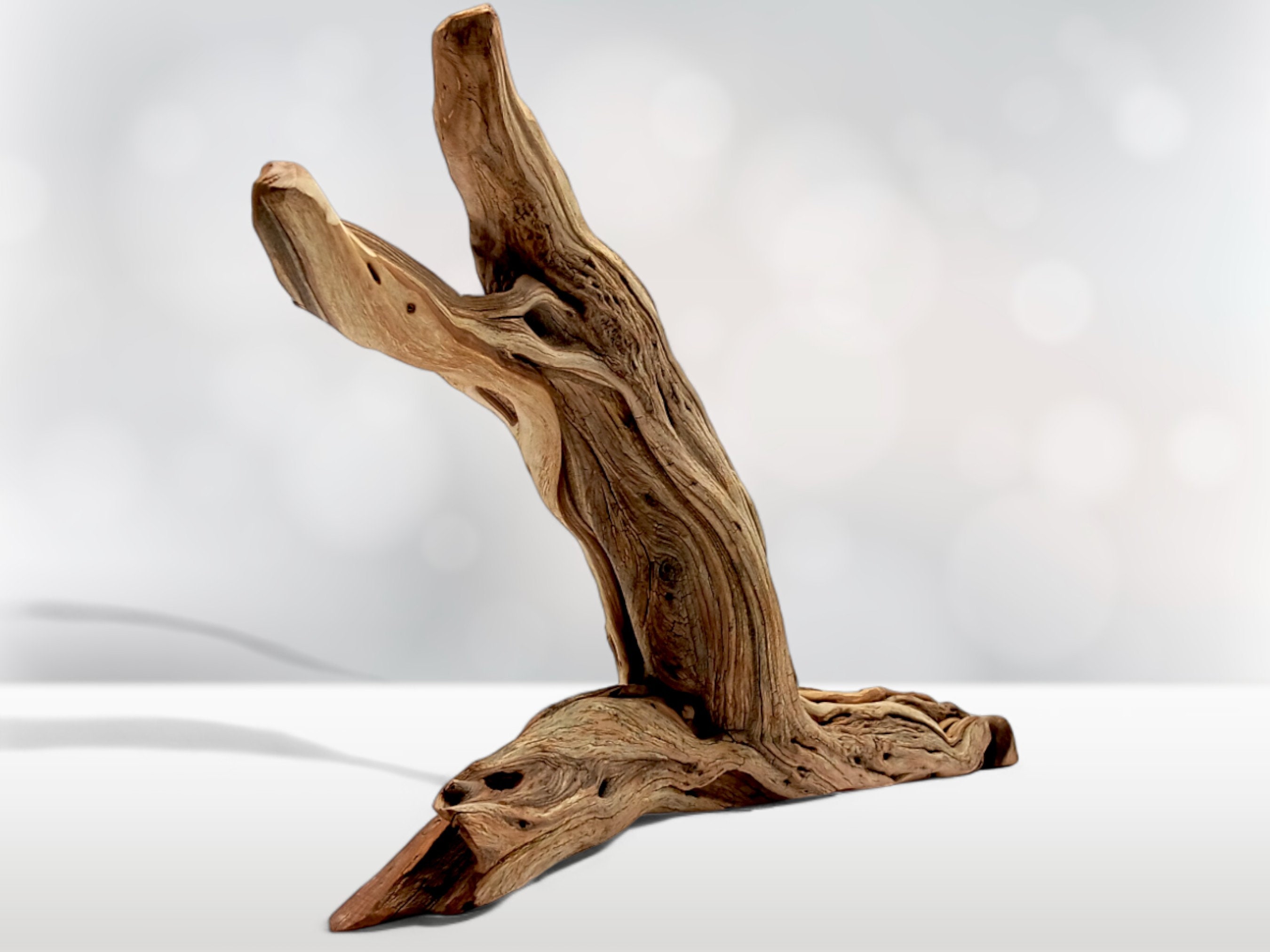 24 Long Manzanita Driftwood Branch Reptile Enrichment, Aquascaping ...