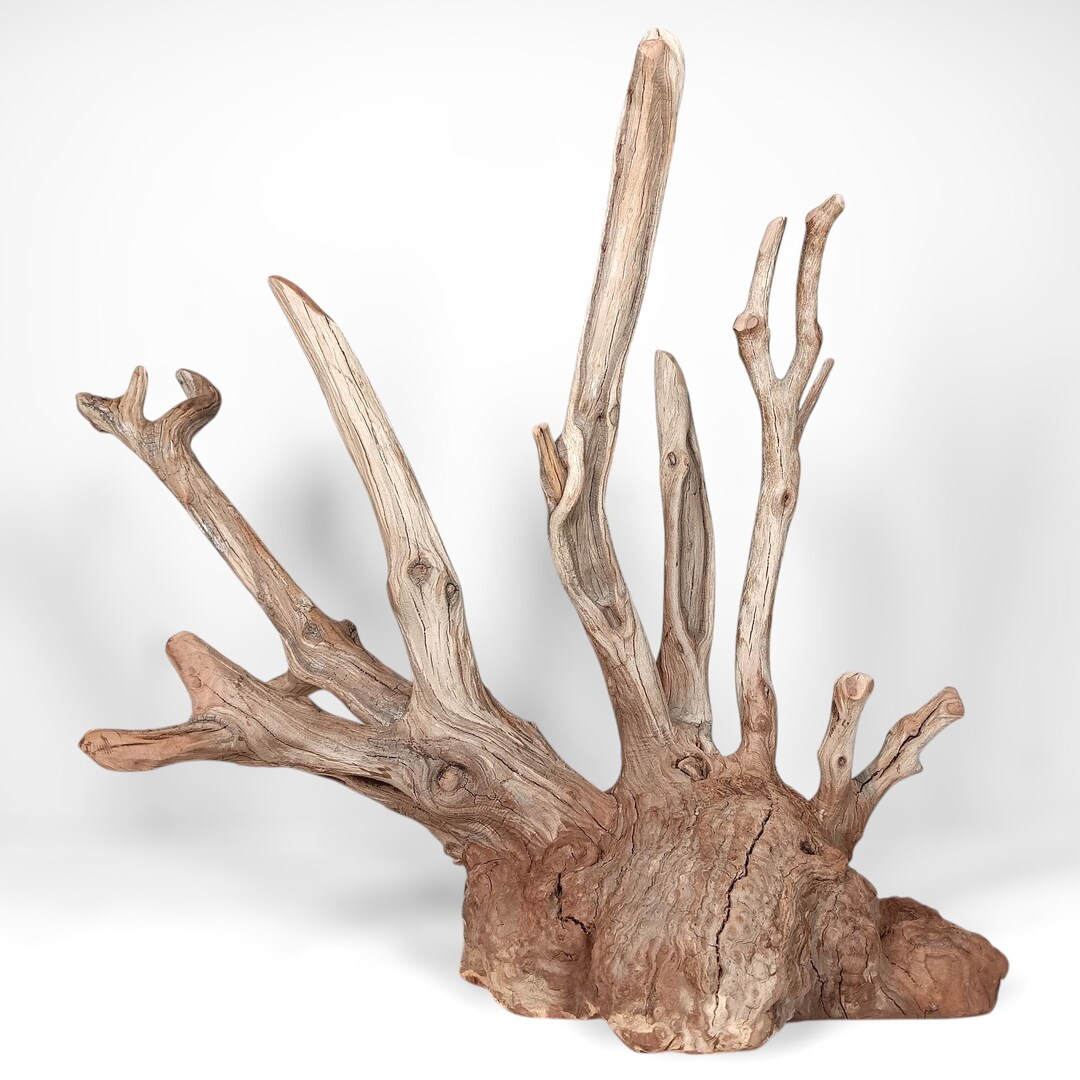 Large Manzanita Driftwood Tree: Reptile Enrichment, Aquascaping ...