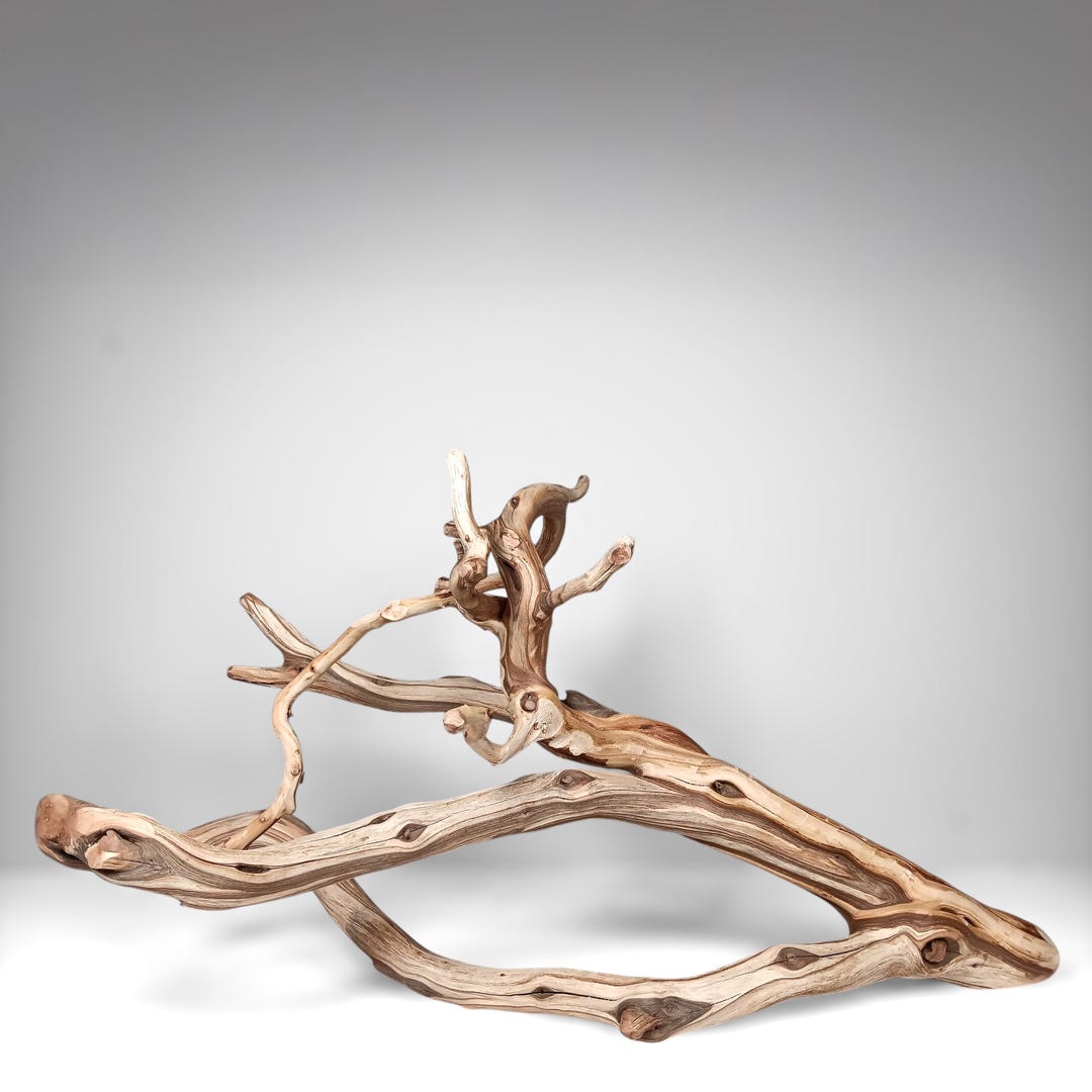 25" Manzanita Driftwood Branch for Reptile Enrichment, Aquascaping ...