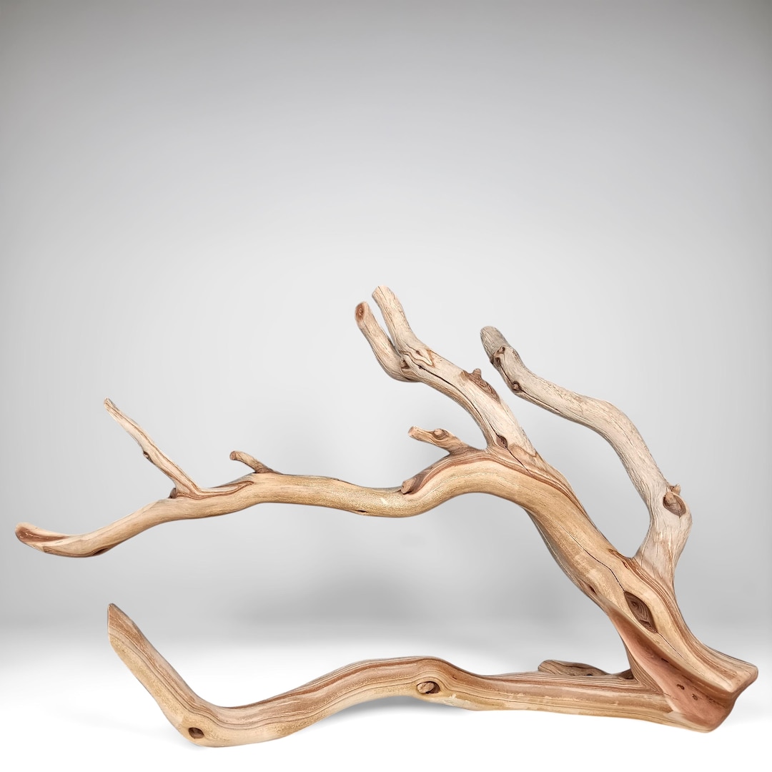 22" Manzanita Driftwood Branch for Reptile Enrichment, Aquascaping ...