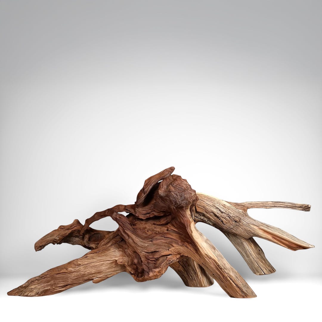 Massive Burly 35 Manzanita Driftwood Branch for Aquascaping, Aquarium ...