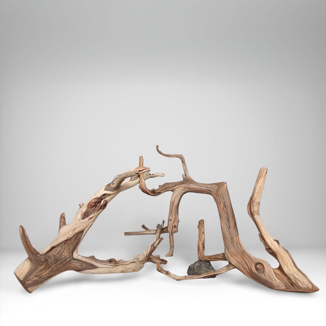 2 Piece Set of Manzanita Driftwood Branches for Aquascaping, Aquarium ...