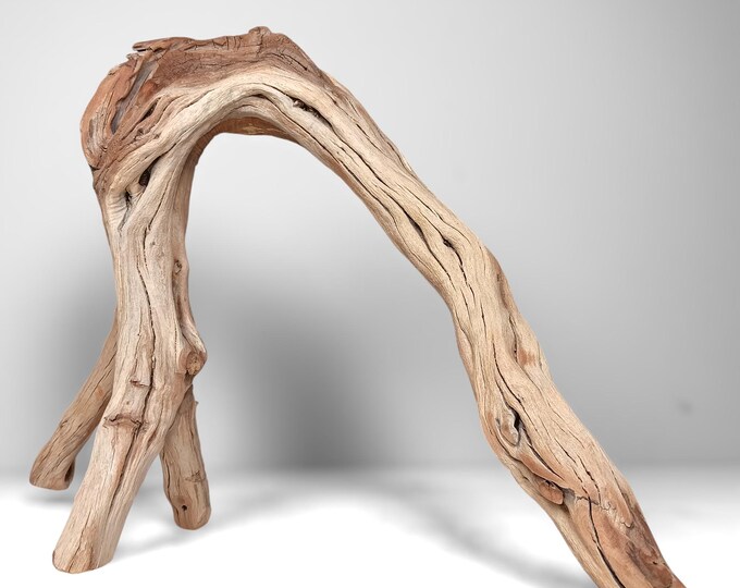 18" Manzanita Driftwood Arched Branch Reptile Enrichment, Aquascaping ...