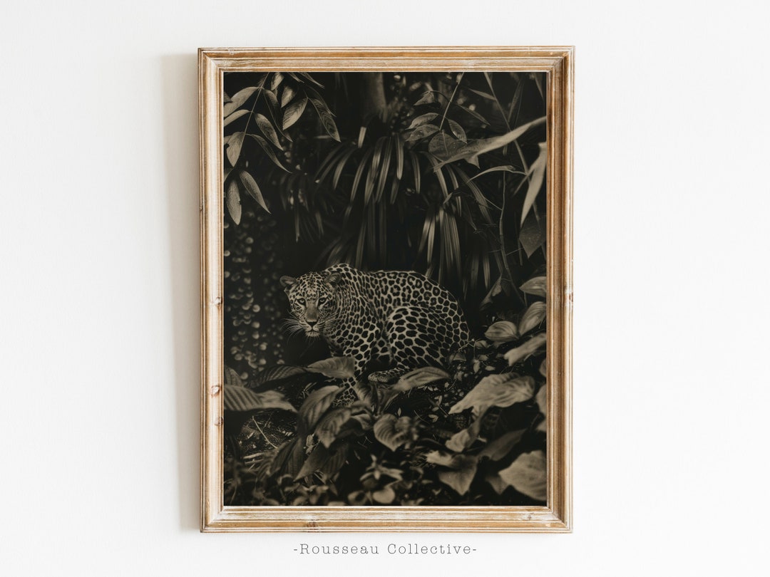 Vintage Leopard Print, Leopard Jungle Photo, Tropical Wall Art Decor ...
