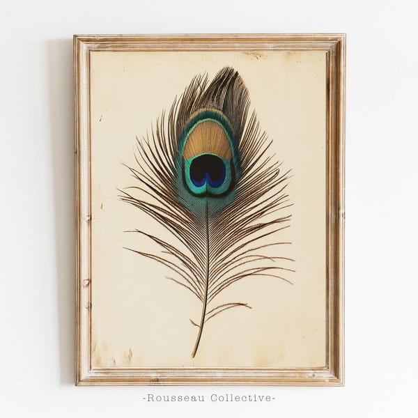 Feather Art - Etsy