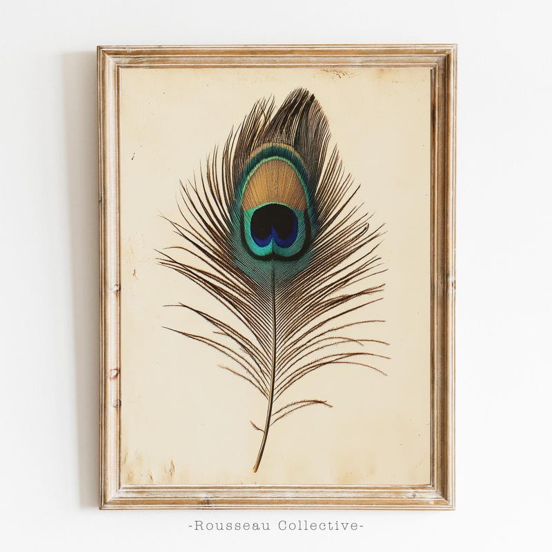 Feather Art - Etsy