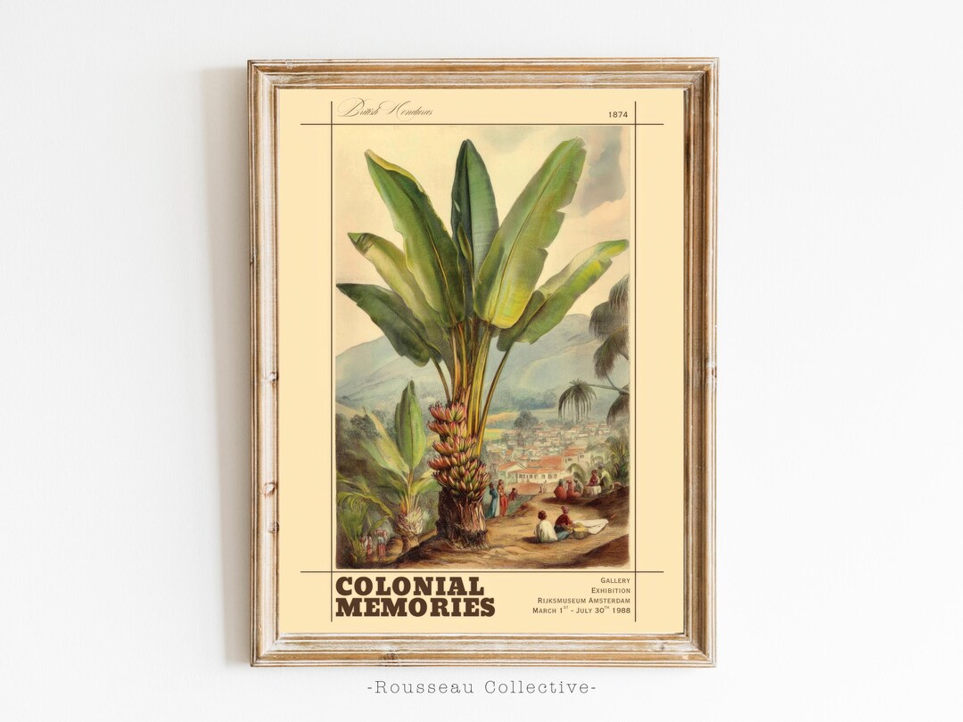 Vintage Banana Tree Art Print: Colonial Botanical Illustration - Etsy